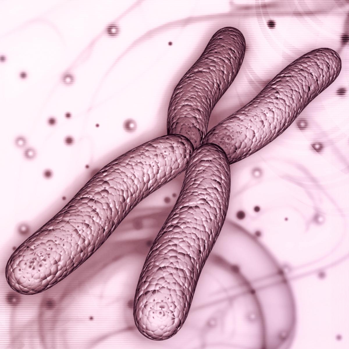 Stem Cell Therapy for Anti Aging | Stemaid Institute