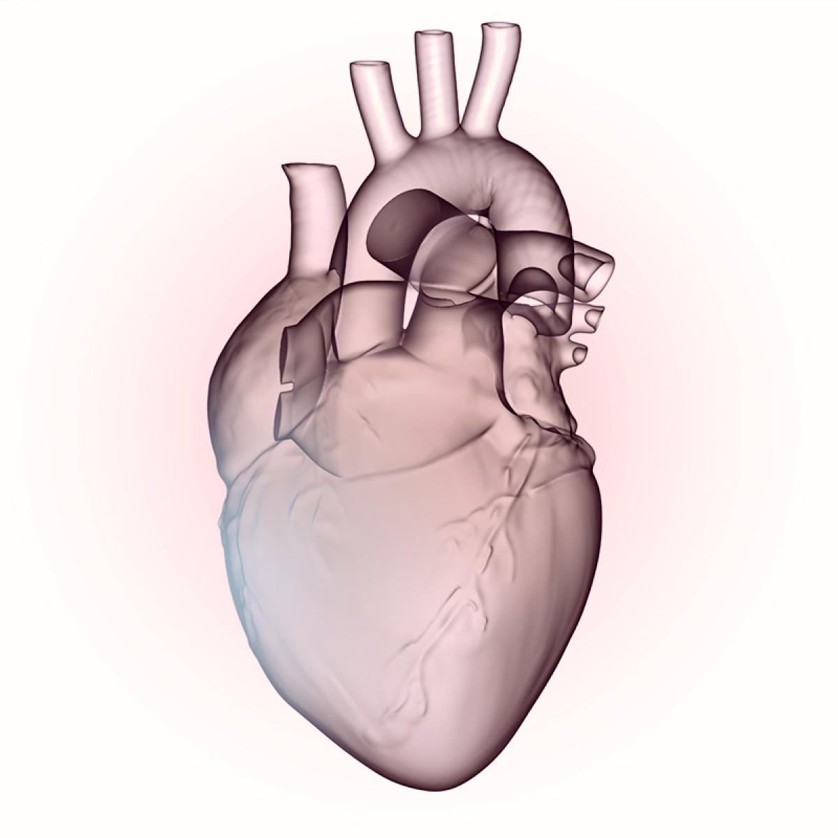 Stem Cell Therapy for Heart disease | Stemaid Institute